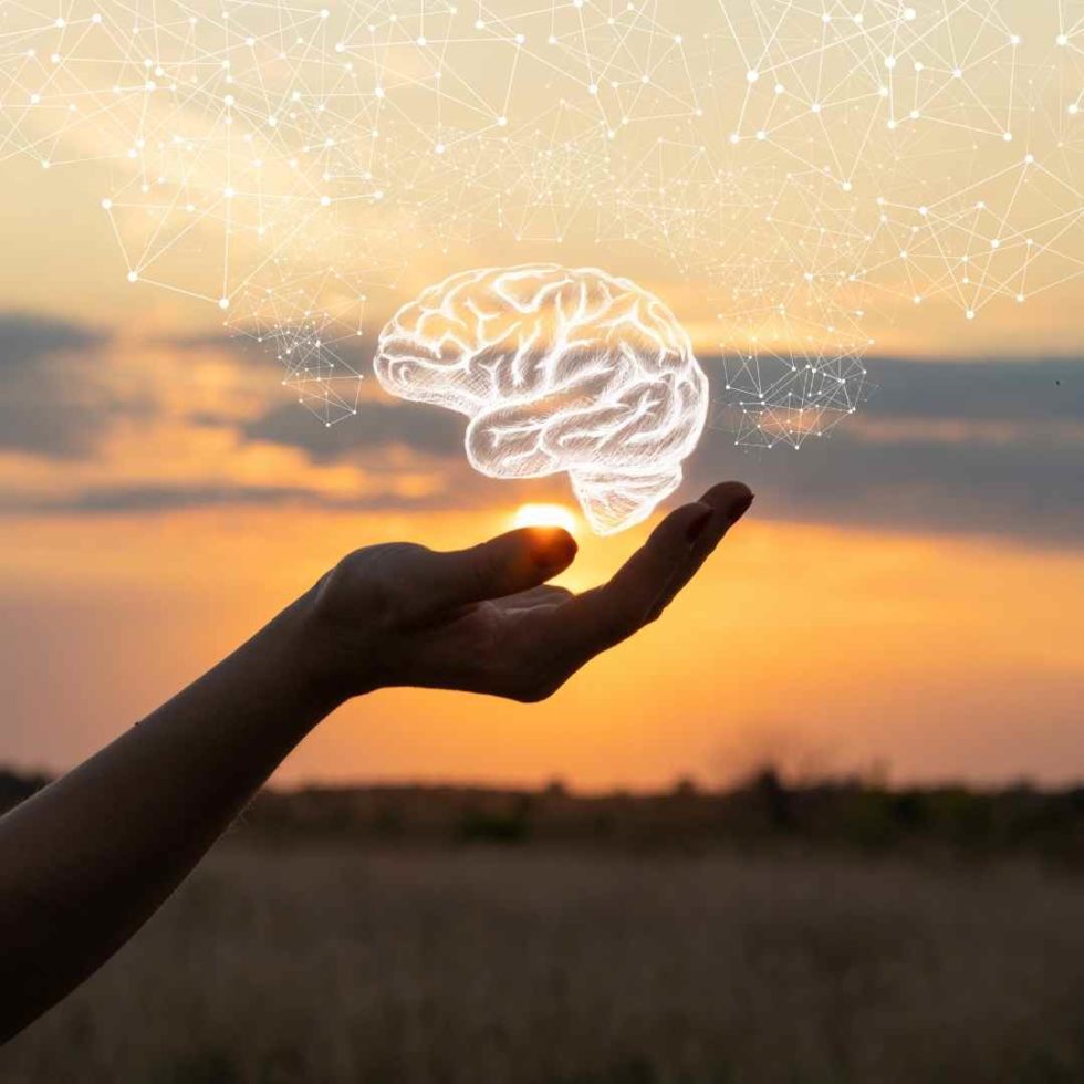 The Better Brain Program - eCenter Wellness